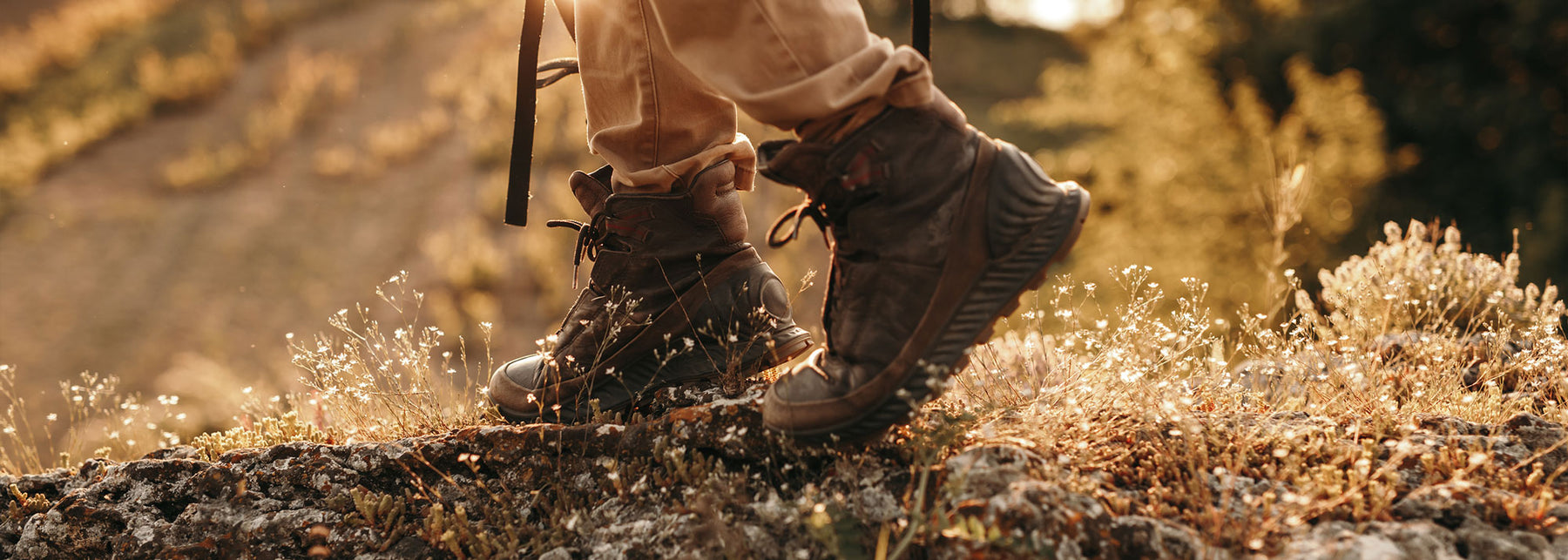 The Nordic Wilderness