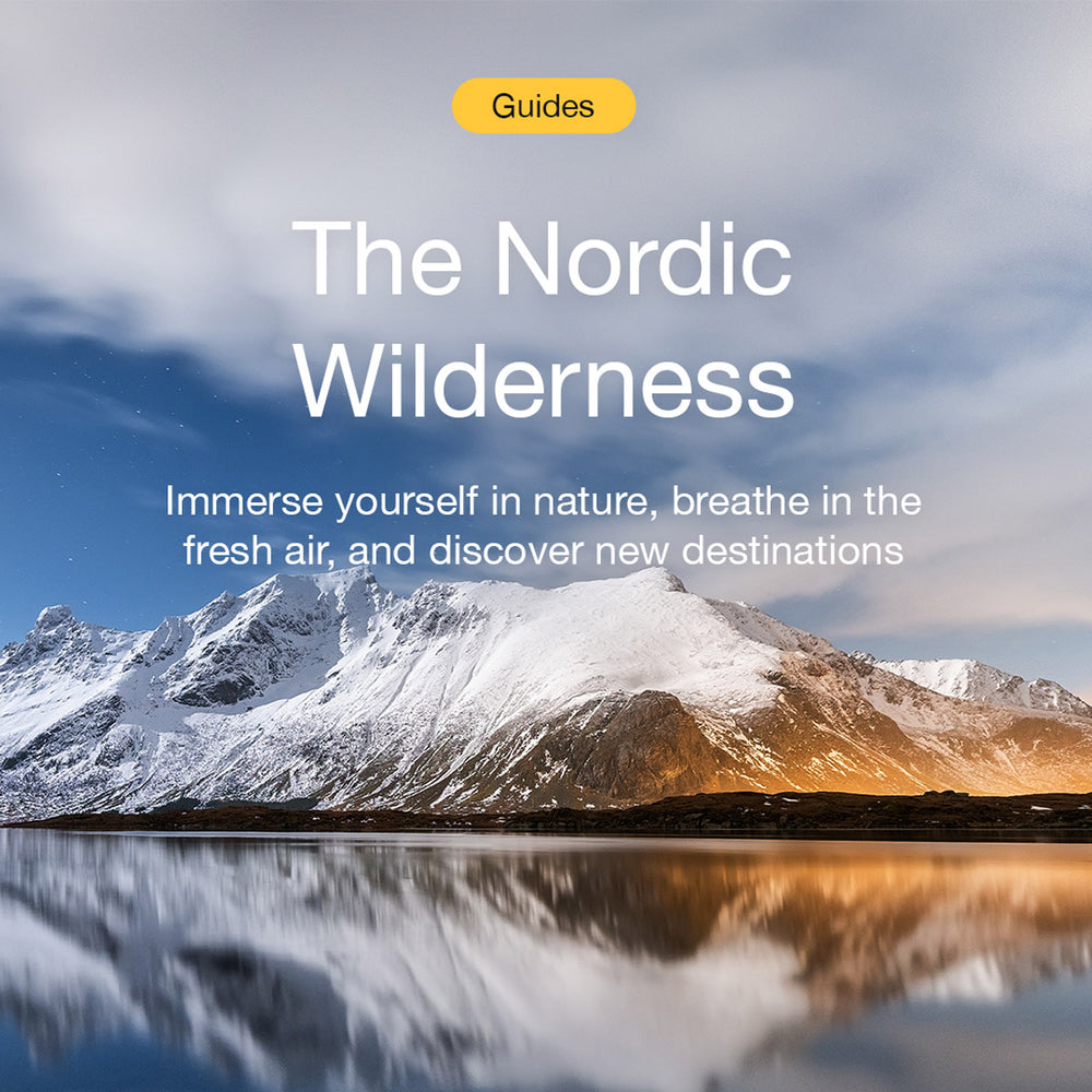 Callus & Blister Plaster MIX 5 Pack